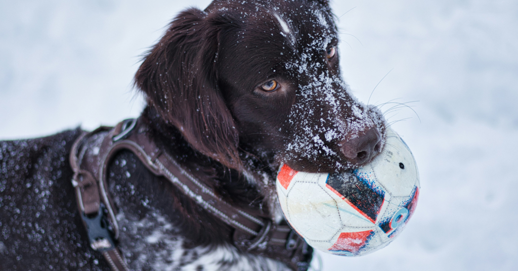 9 Best Invoice Capture Software for 2025